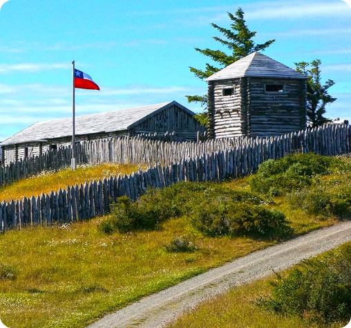 Chile - Fort Bulnes Tour (Private) - Yellow Penguin